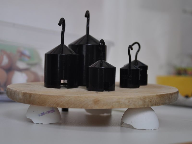 Experimente | Komm, mach MINT