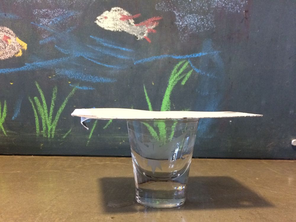 Experimente | Komm, mach MINT