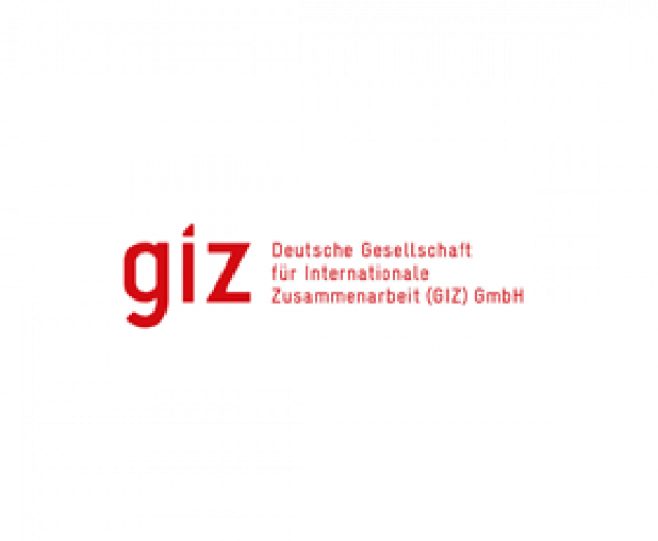 Deutsche Gesellschaft für Internationale Zusammenarbeit (GIZ) GmbH ...